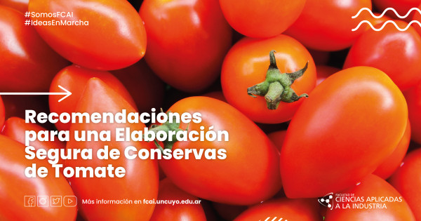 Recomendaciones para una Elaboración Segura de Conservas de Tomate ...